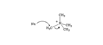 The Chemical Thesaurus Reaction Chemistry Database