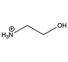 The Chemical Thesaurus Reaction Chemistry Database